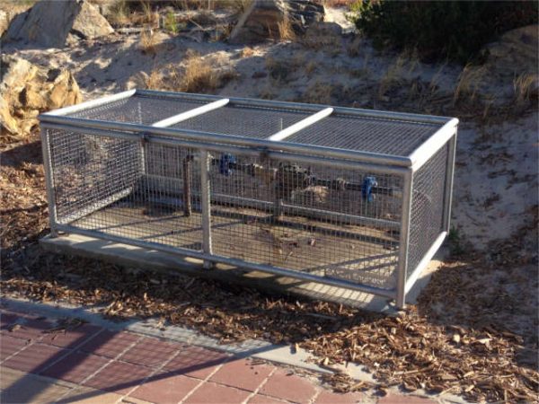 Backflow RPZ Cages – Saxon Engineering